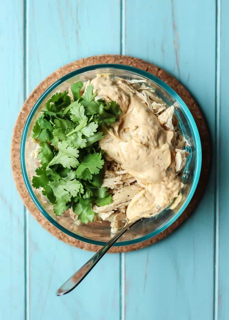 Everyday Slow Cooker Chicken Recipe • Fit Mitten Kitchen