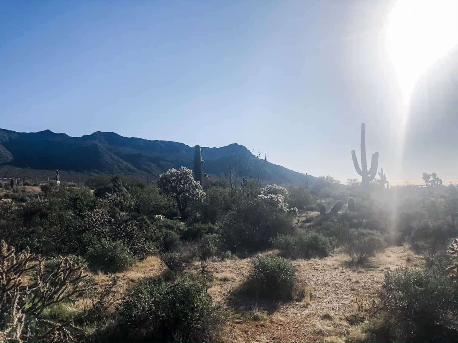 Travel Guide: 4 Days in Mesa – what to do, see, eat and more. • Fit ...