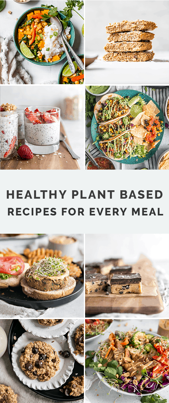 Healthy Plant Based Recipes for Every Meal • Fit Mitten Kitchen