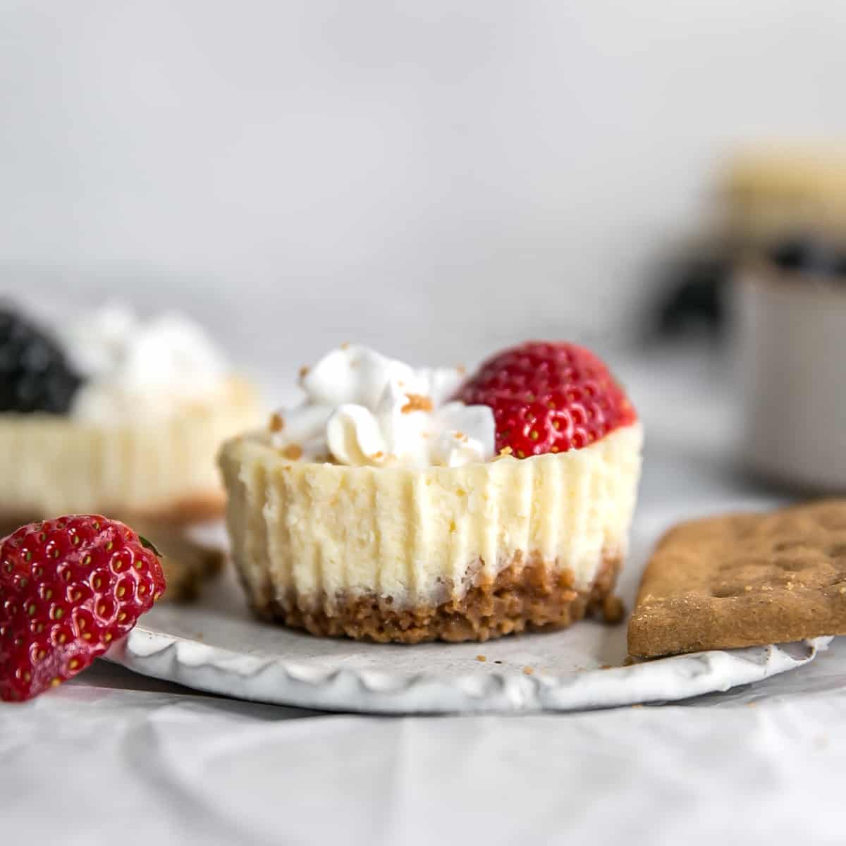 Mini Yogurt Cheesecakes {lightened up} • Fit Mitten Kitchen