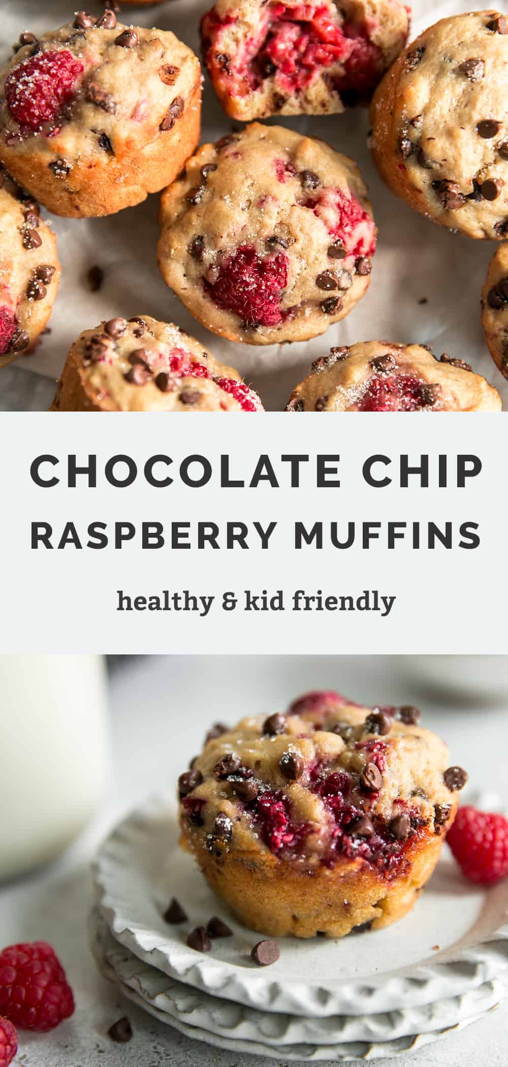 Raspberry Chocolate Chip Muffins • Fit Mitten Kitchen