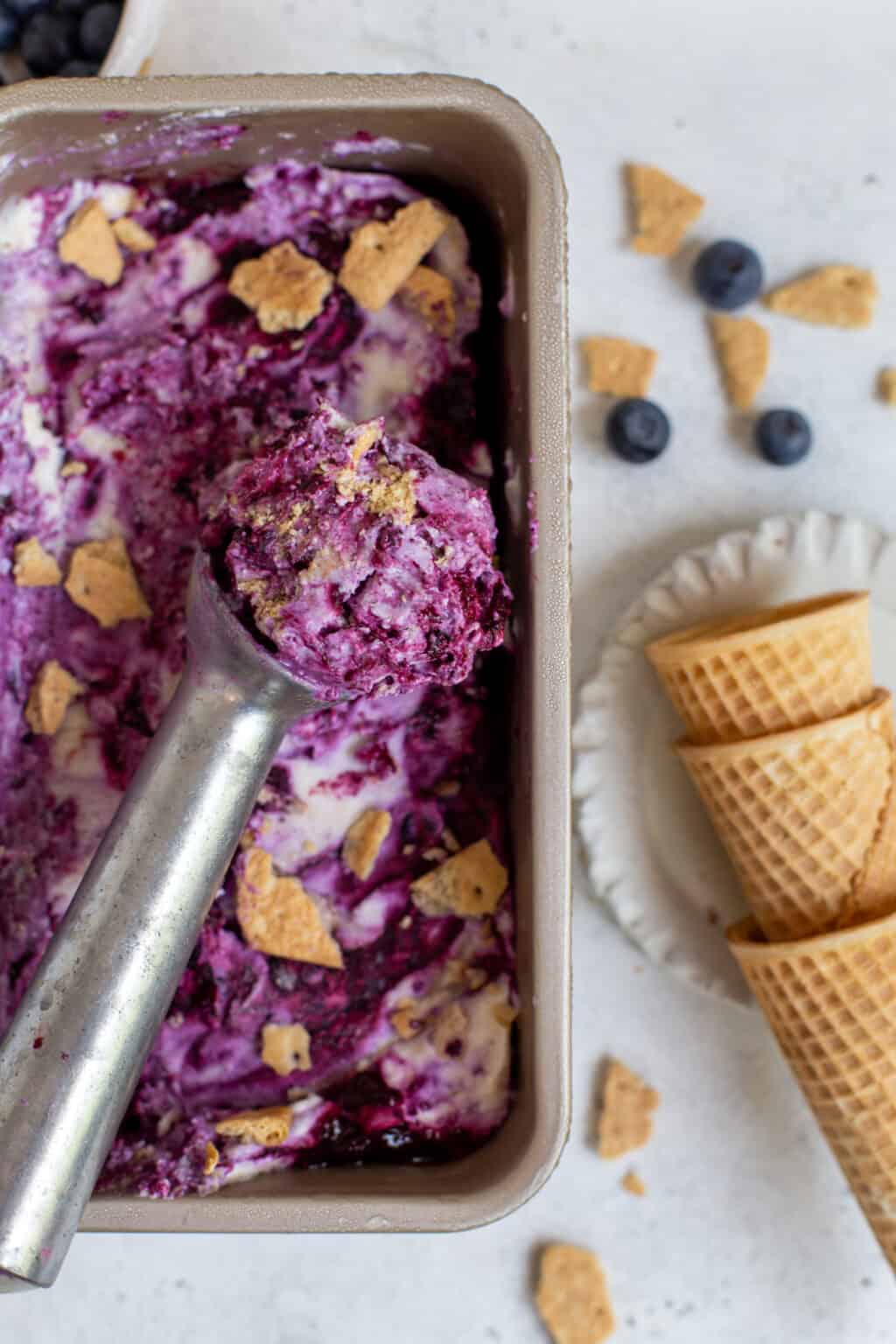 Blueberry Cheesecake Cottage Cheese Ice Cream • Fit Mitten Kitchen