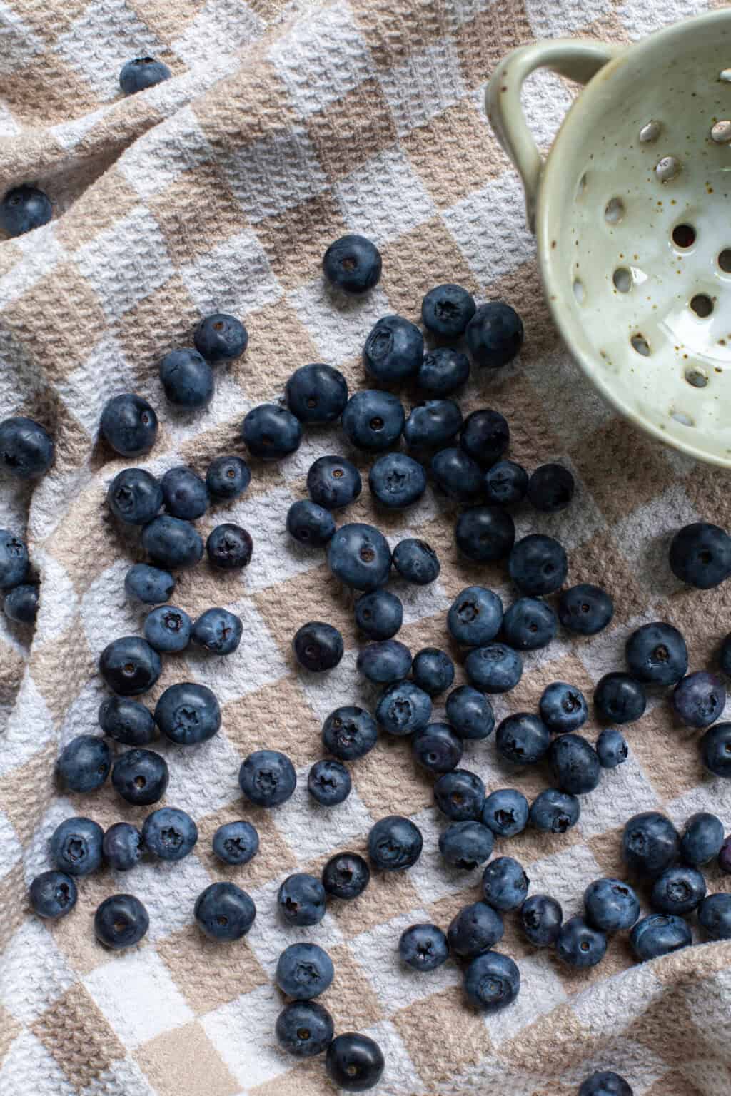 Chocolate Covered Blueberries • Fit Mitten Kitchen