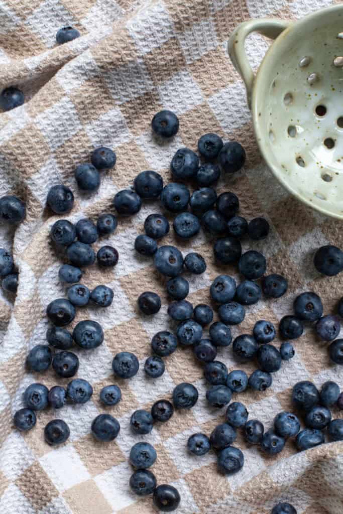 Chocolate Covered Blueberries • Fit Mitten Kitchen